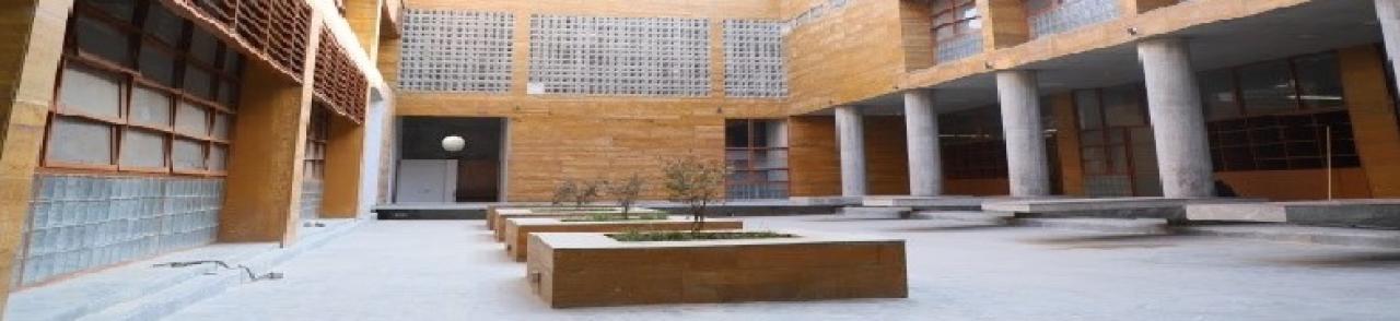 Indian Institute of Information Technology Vadodara - International Diu ...