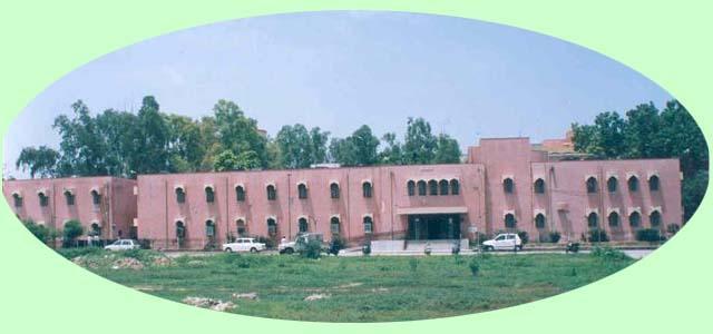 National Institute of Ayurveda, Jaipur: Courses, Fees, Ranking, Contact ...
