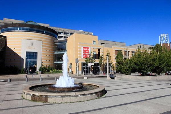 York University Toronto Courses, Fees Structure & Course Duration Details